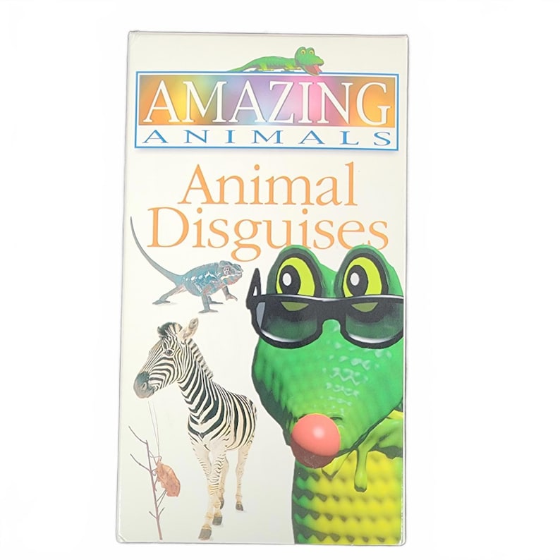 Amazing Animals: Animal Disguises - Interactive Discovery - Etsy