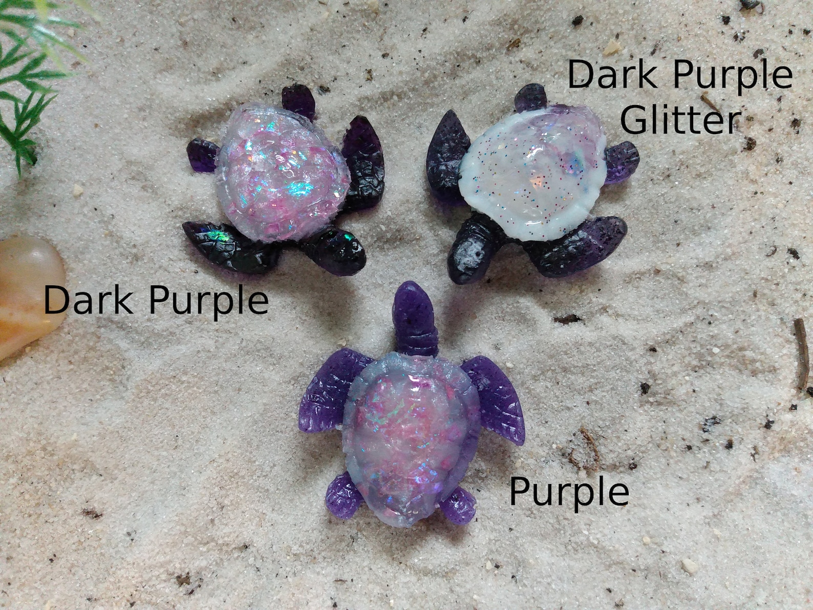 Lucky Turtle - Etsy