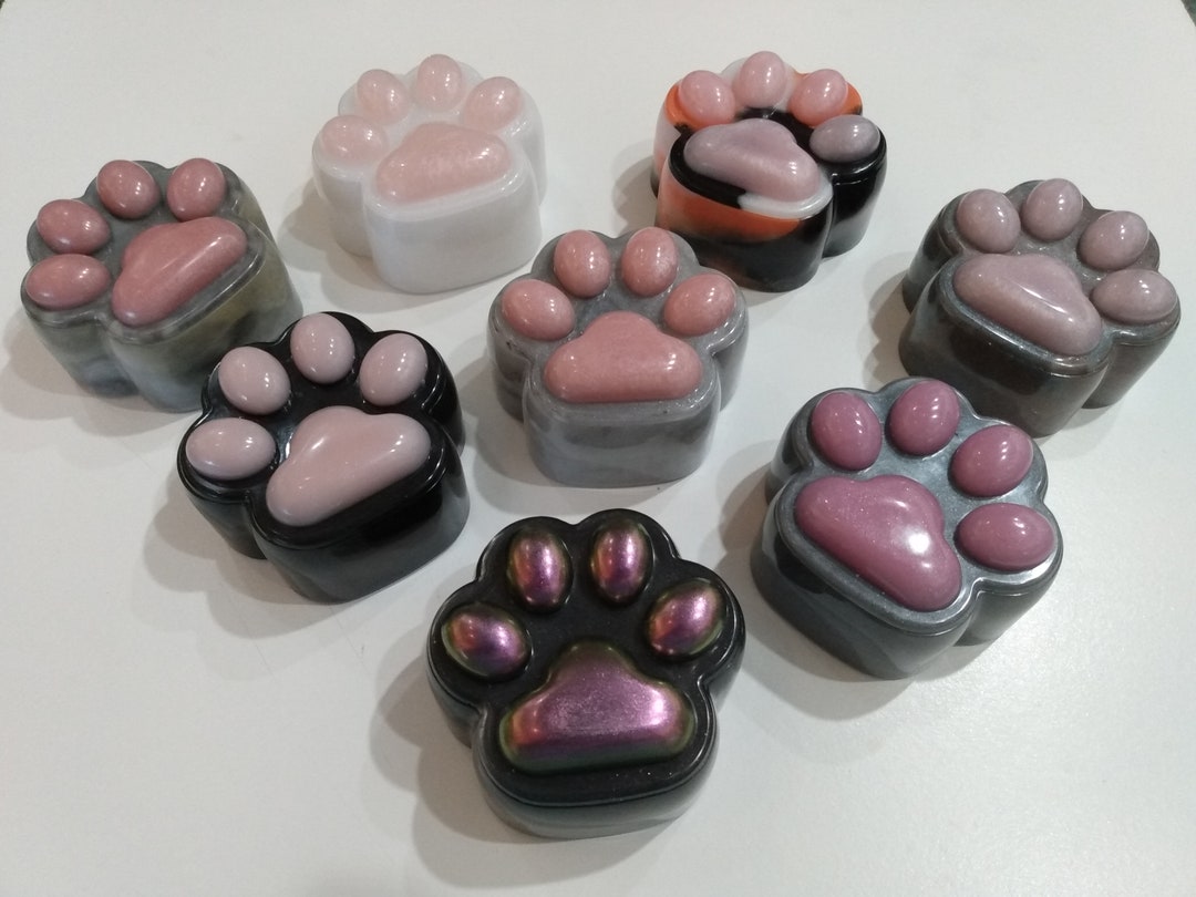 Paw Box With Lid – Trinket Box – Jewelry Box - Etsy