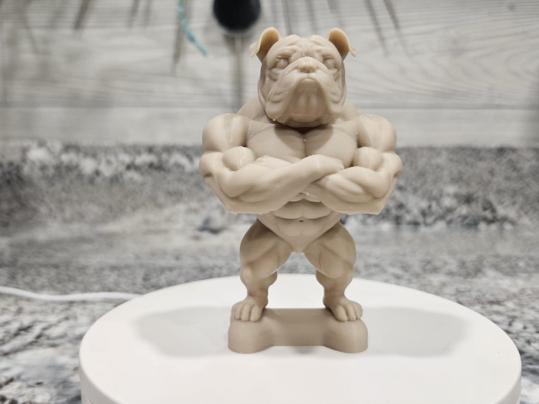 Jacked English Bulldog Bodybuilder Figurine – 3D Printed Muscle Bulldog ...