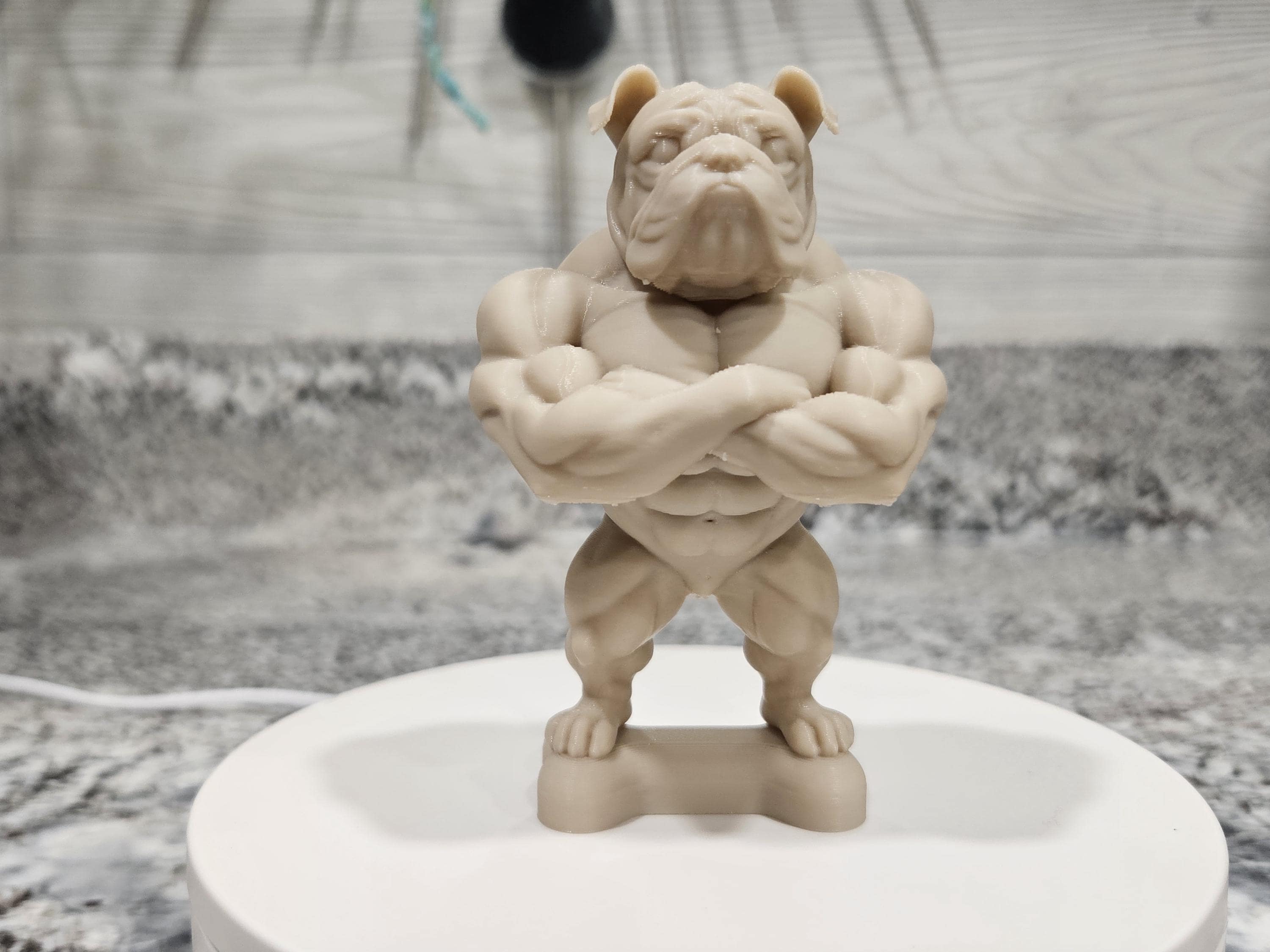 Jacked English Bulldog Bodybuilder Figurine – 3D Printed Muscle Bulldog ...