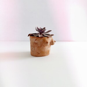 Boob Pot Boob Planter Boobie Planter Terracotta Breast Art | Etsy