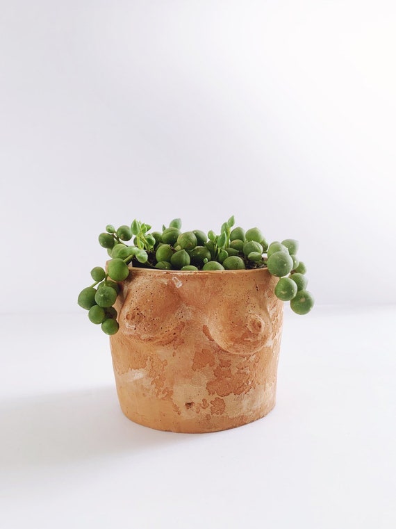 Boob Planter Handmade Sculpey Breast Pot Art & Collectibles Sculpture ...