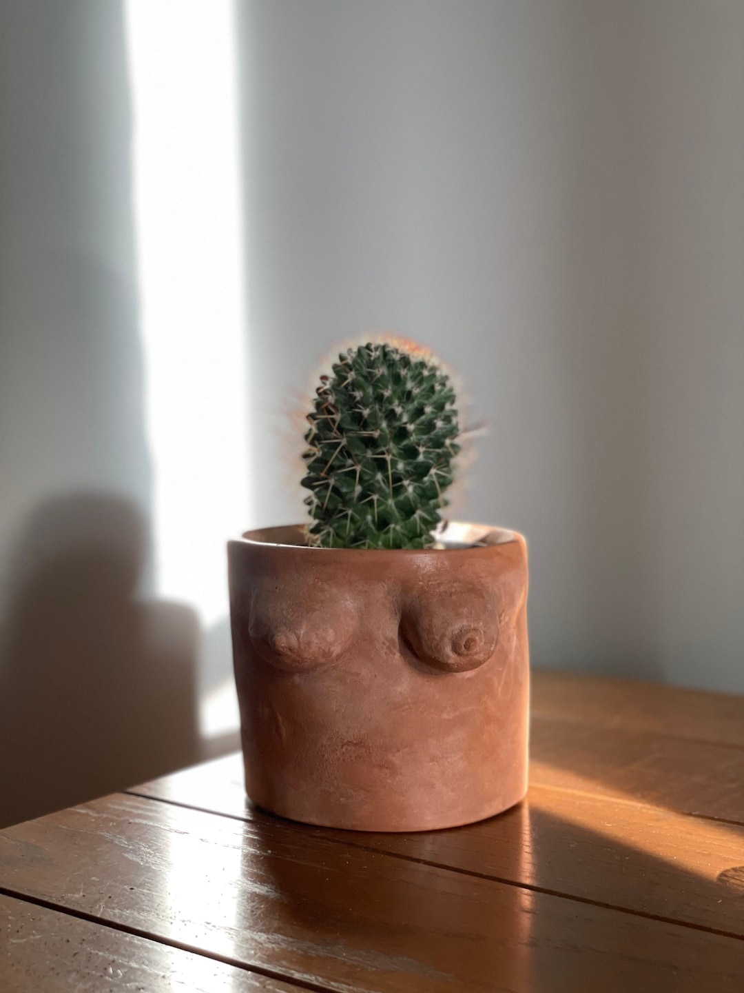 Large Boobie Planter Terracotta Boob Planter Feminist Art Breastfeeding ...