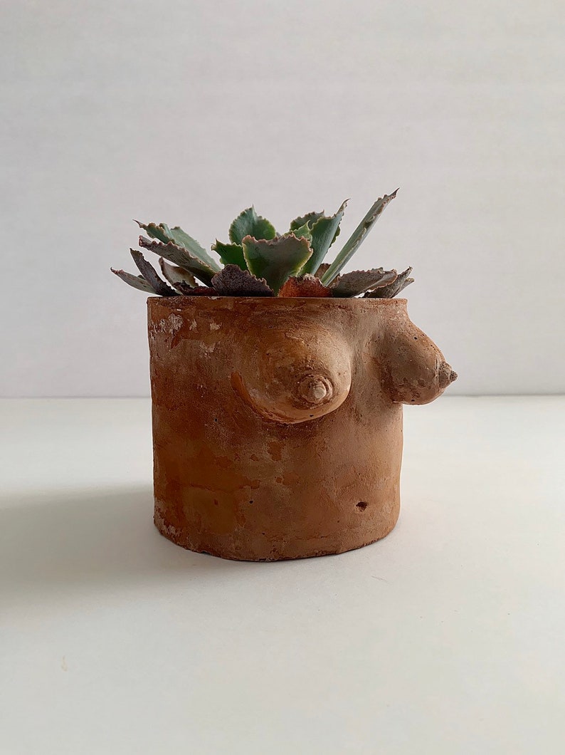 Large Boobie Planter Terracotta Boob Planter Feminist Art - Etsy