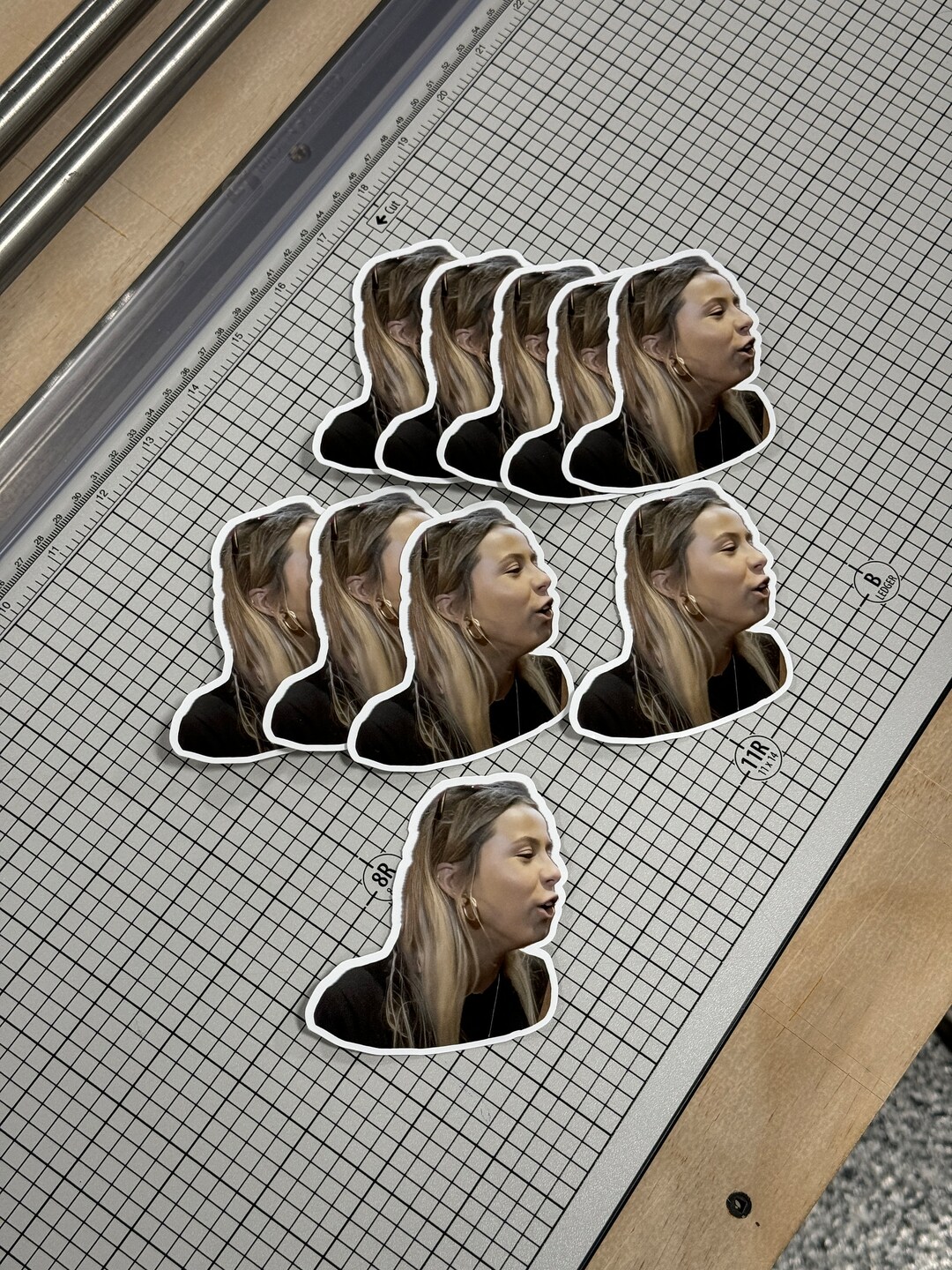 Hawk Tuah Girl Decal Sticker Pack Pack of 10 Funny Meme Decals - Etsy