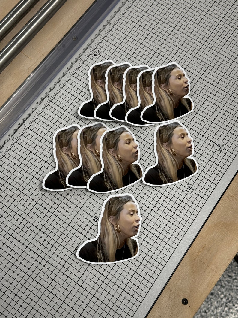Hawk Tuah Girl Decal Sticker Pack Pack of 10 Funny Meme Decals - Etsy