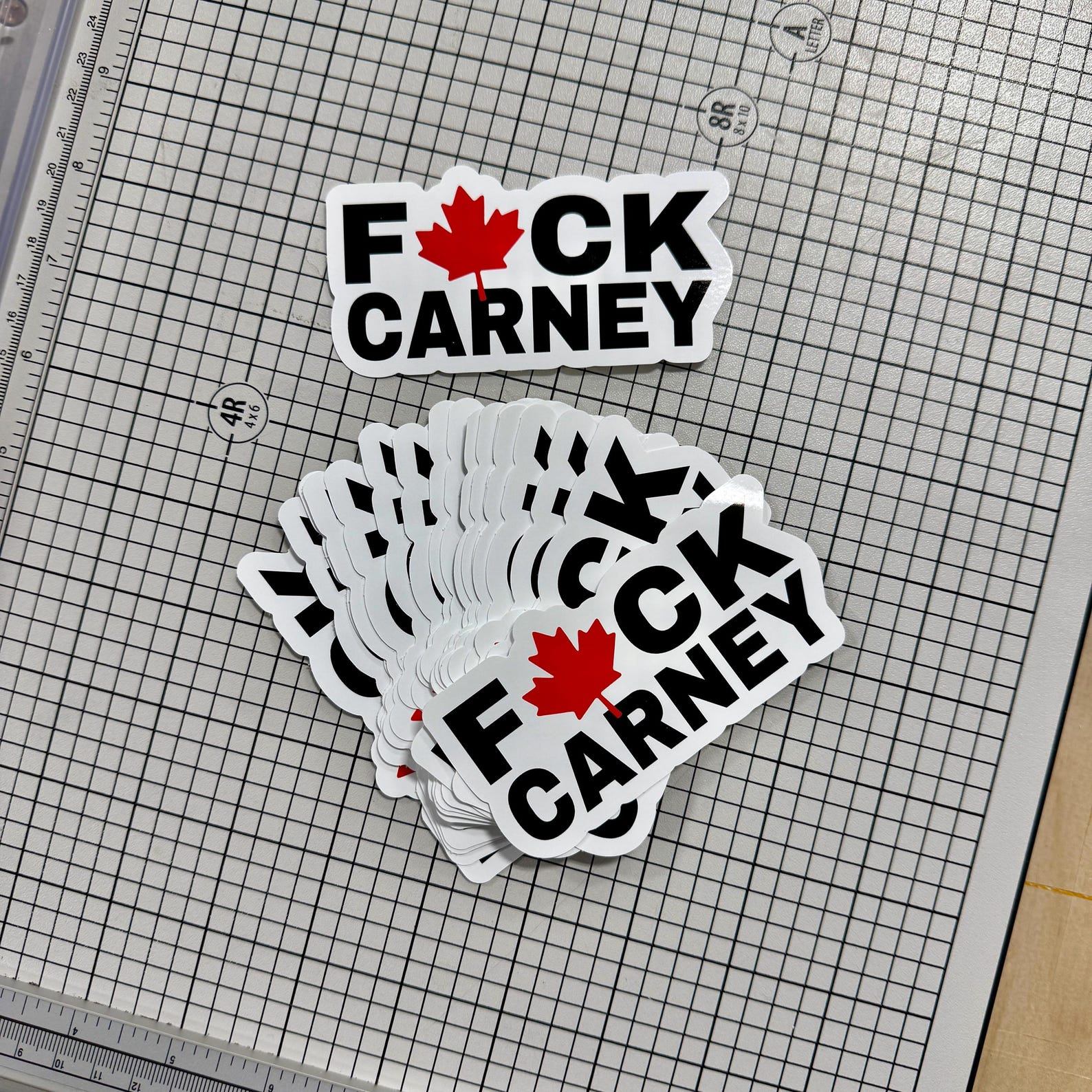 FUCK CARNEY Protest Decals - Pack of 20 - Waterproof Vinyl Sticker ...
