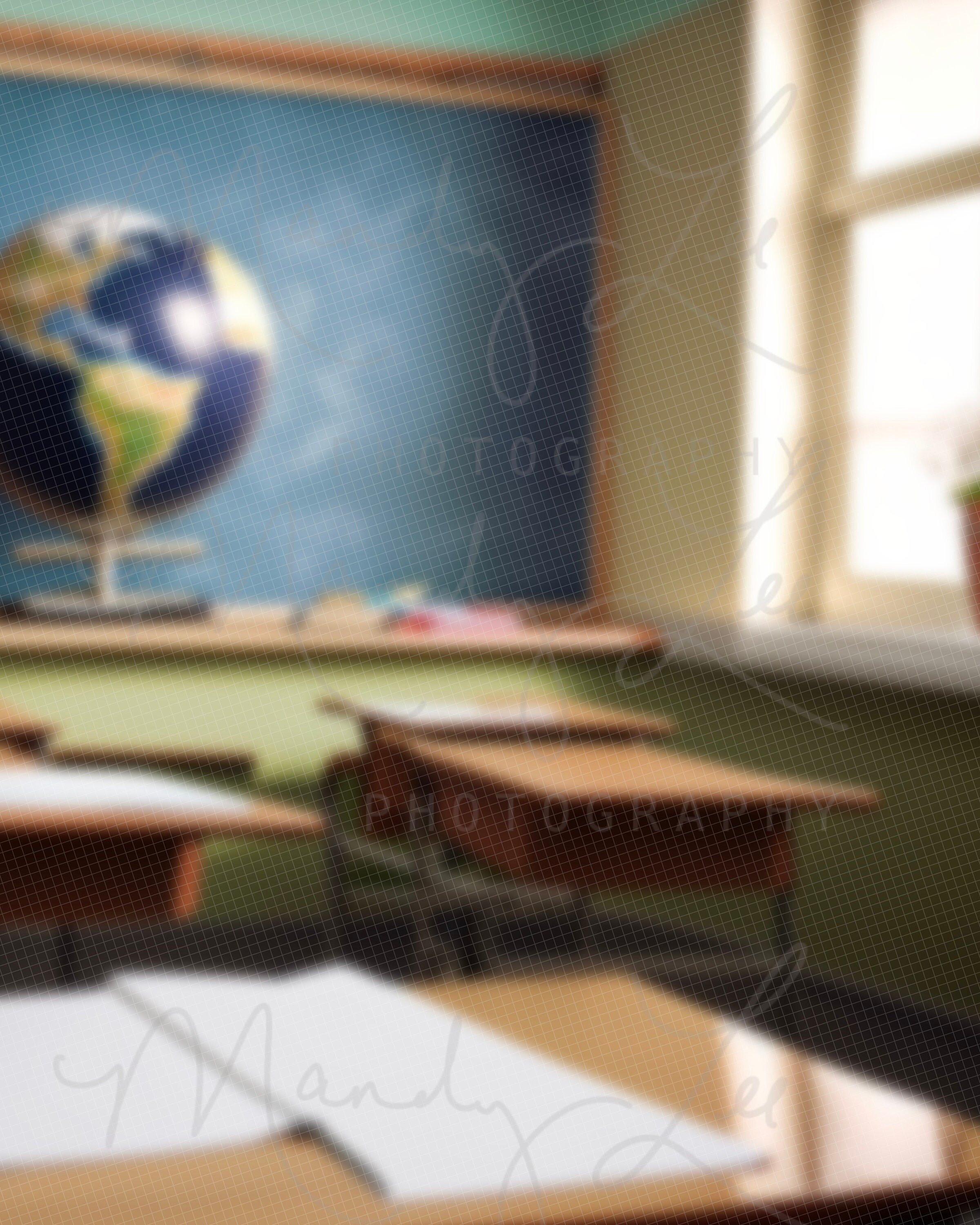 Digital Blurred School Backdrop Classroom Backdrop School Pictures ...