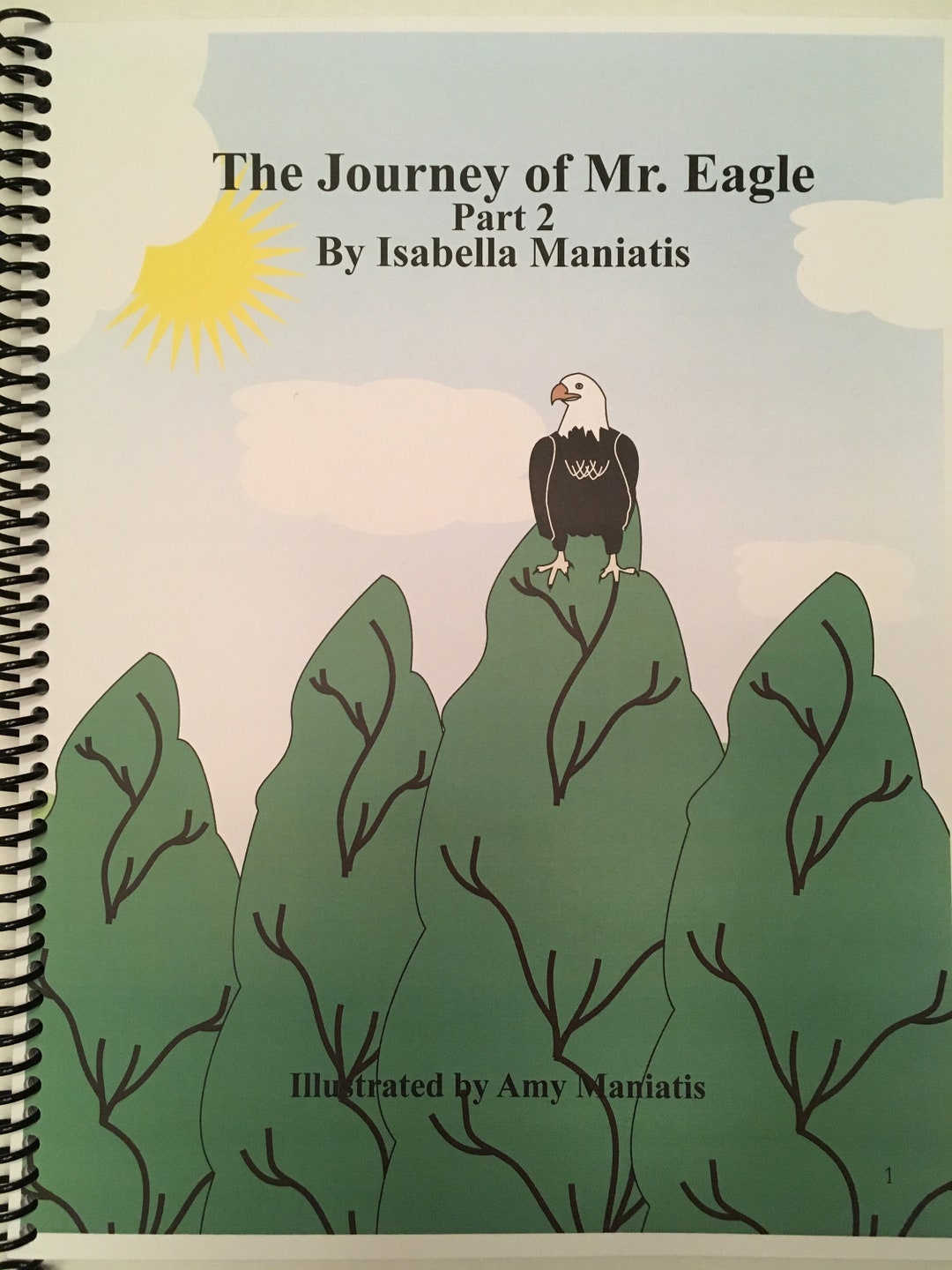 The Journey of Mr. Eagle Part 2 - Etsy