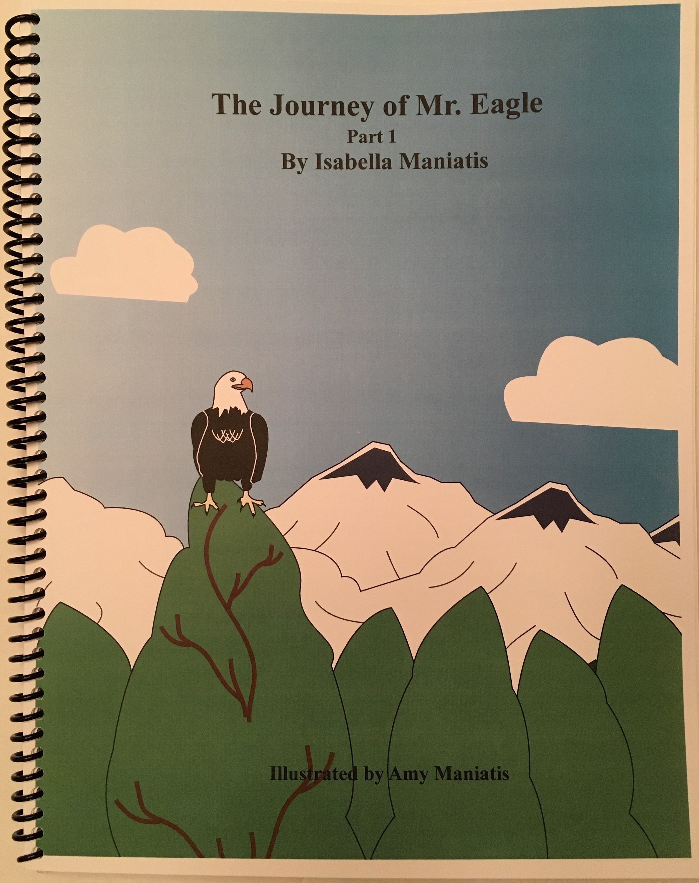 The Journey of Mr. Eagle Part 1 - Etsy