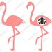 Flamingo SVG, Summer Svg, Beach Svg, Flamingo Silhouette, Zoo SVG ...