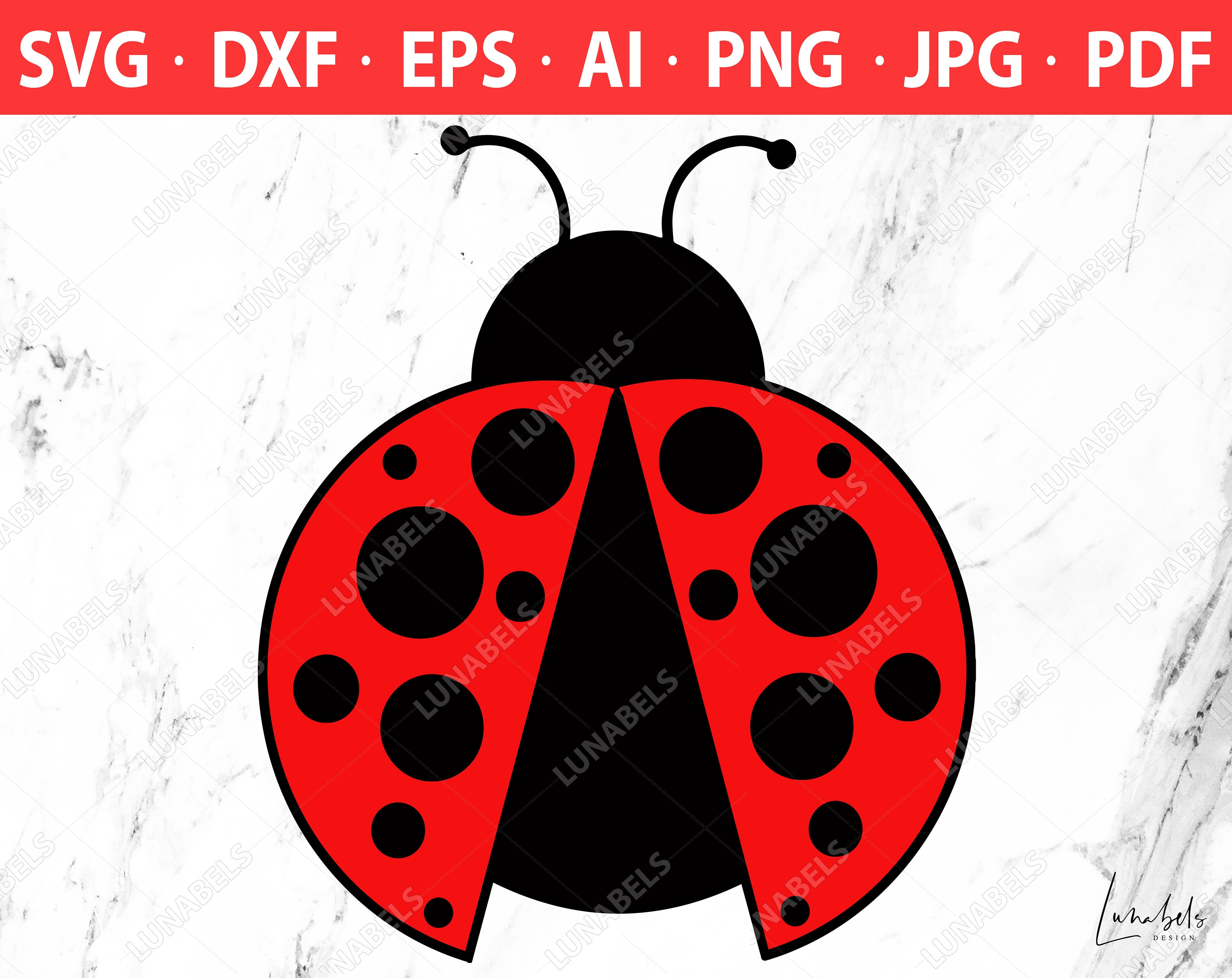 Ladybug Svg, Beetle Svg, Ladybug Clipart, Lady Bug Svg, Love Bug Svg ...