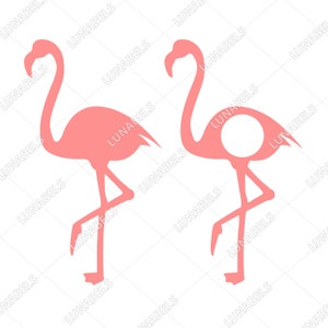 Flamingo SVG, Summer Svg, Beach Svg, Flamingo Silhouette, Zoo SVG ...