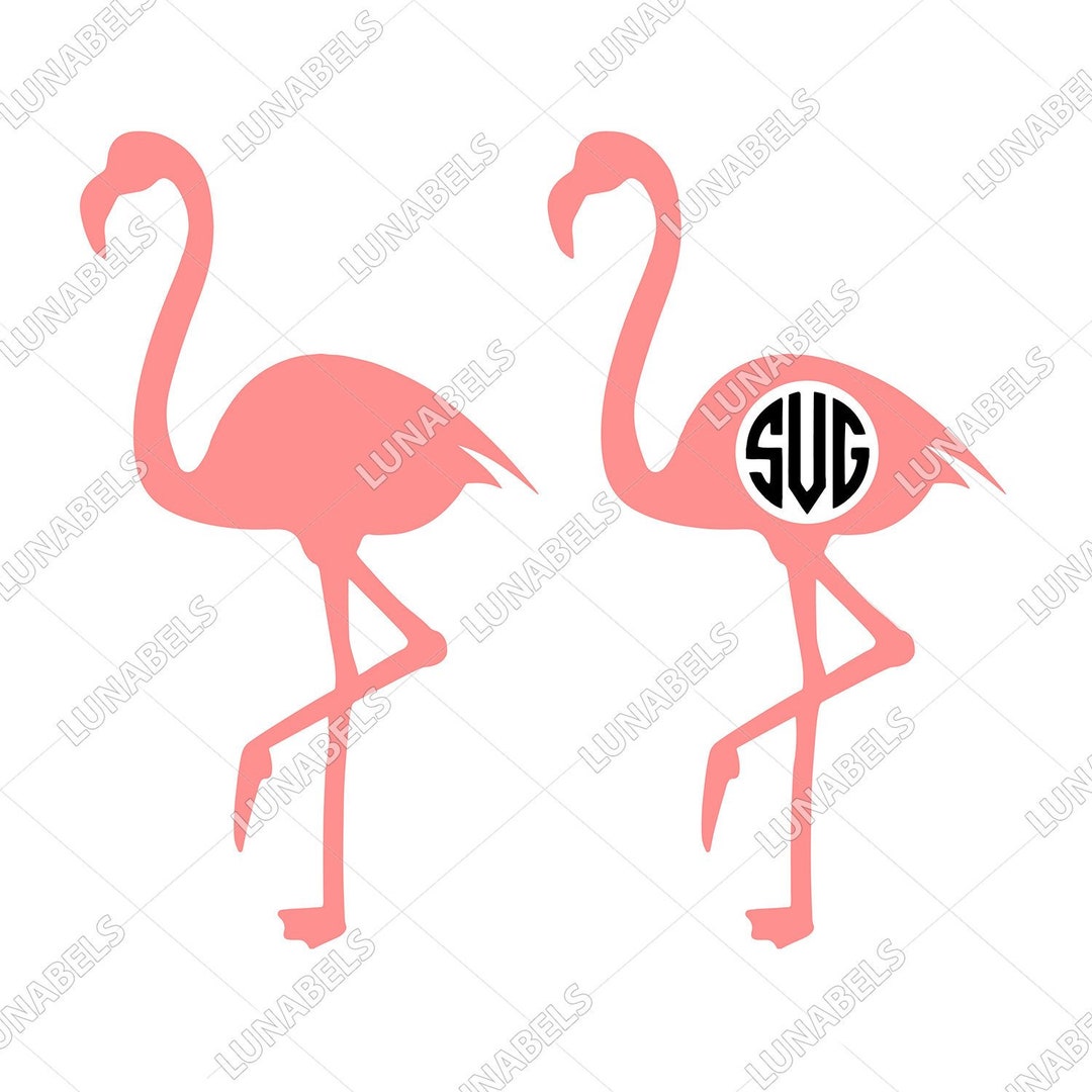 Flamingo SVG, Summer Svg, Beach Svg, Flamingo Silhouette, Zoo SVG ...