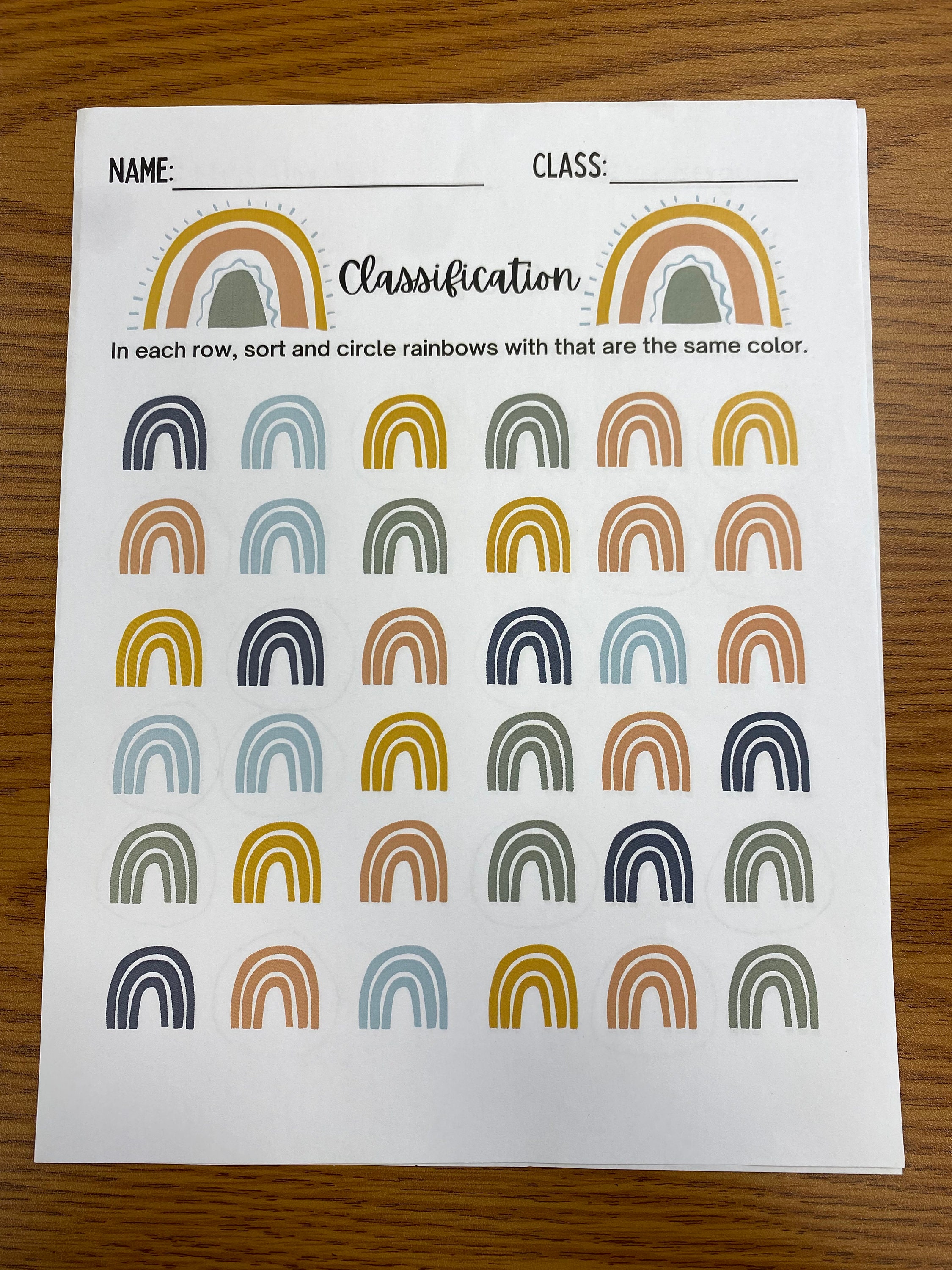 Boho Rainbow Classification Worksheet, Early Elem. - Etsy