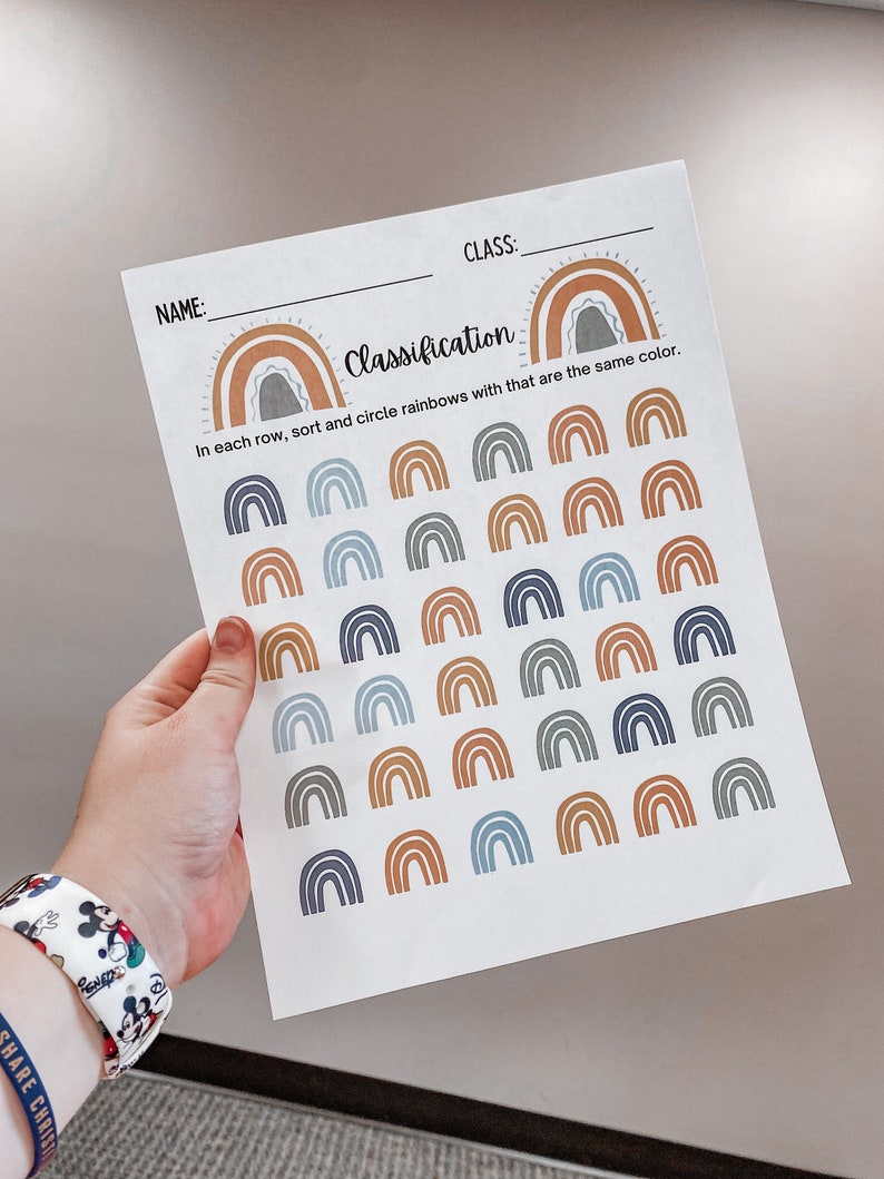 Boho Rainbow Classification Worksheet Early Elem. | Etsy