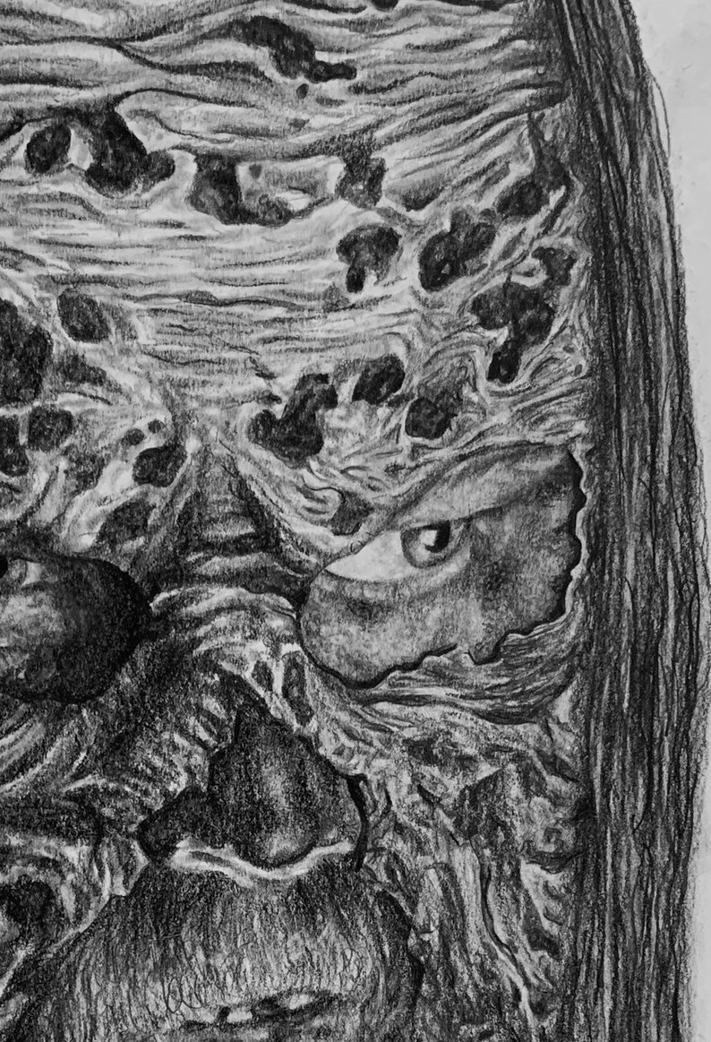 Beta Pencil Drawing - Etsy
