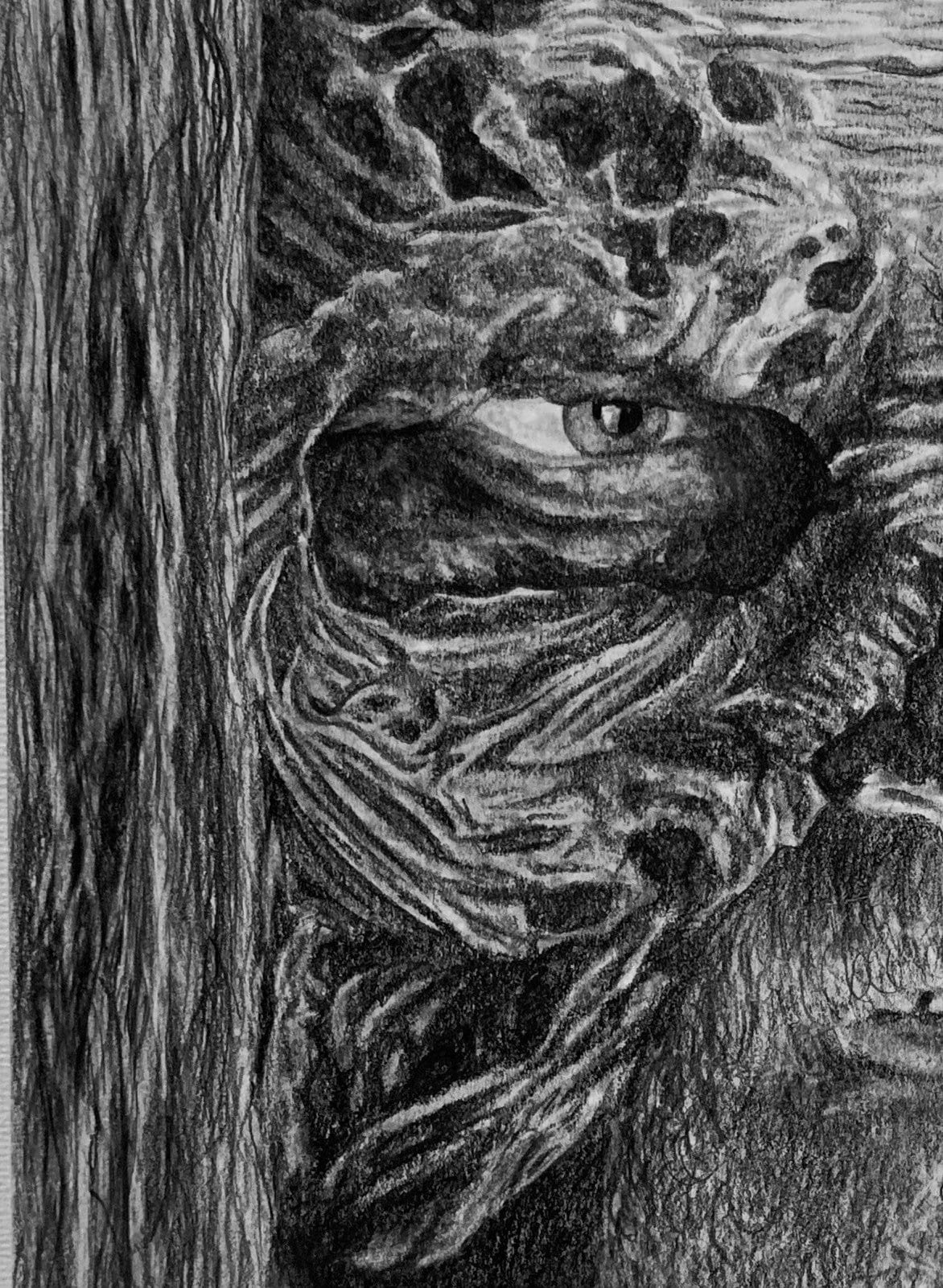 Beta Pencil Drawing - Etsy