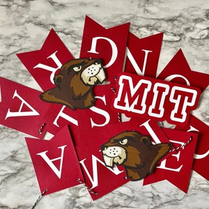 mit mascot beaver