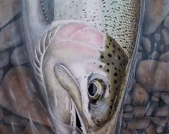 Steelhead art | Etsy