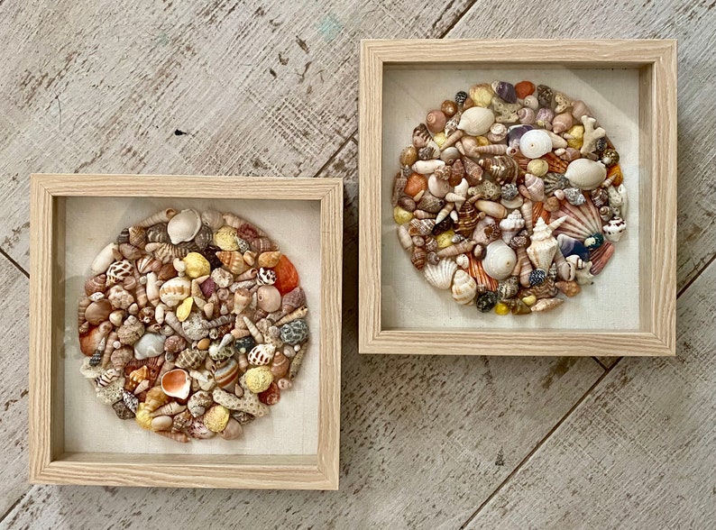 Seashell Wall Art PAIR Shadow Box Wood Frame Coastal Decor Farmhouse ...