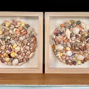 Seashell Wall Art PAIR Shadow Box Wood Frame Coastal Decor Farmhouse ...