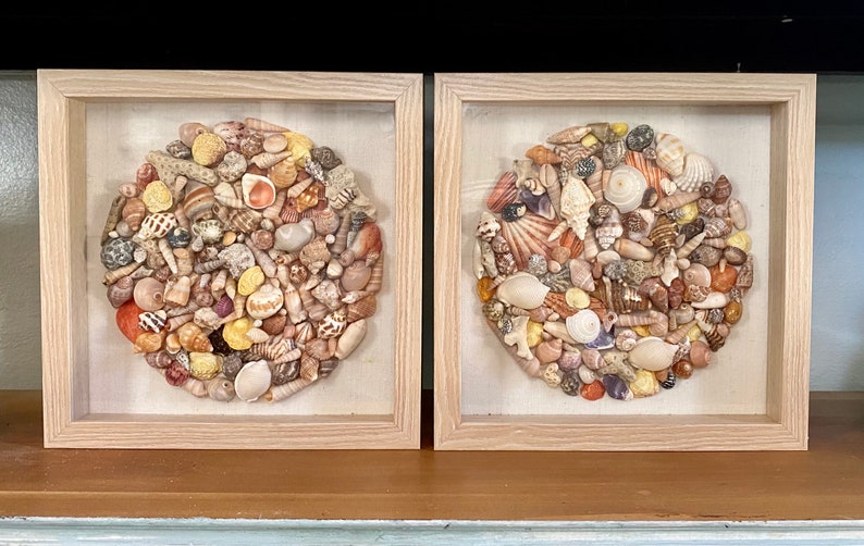 Seashell Wall Art PAIR Shadow Box Wood Frame Coastal Decor Farmhouse ...