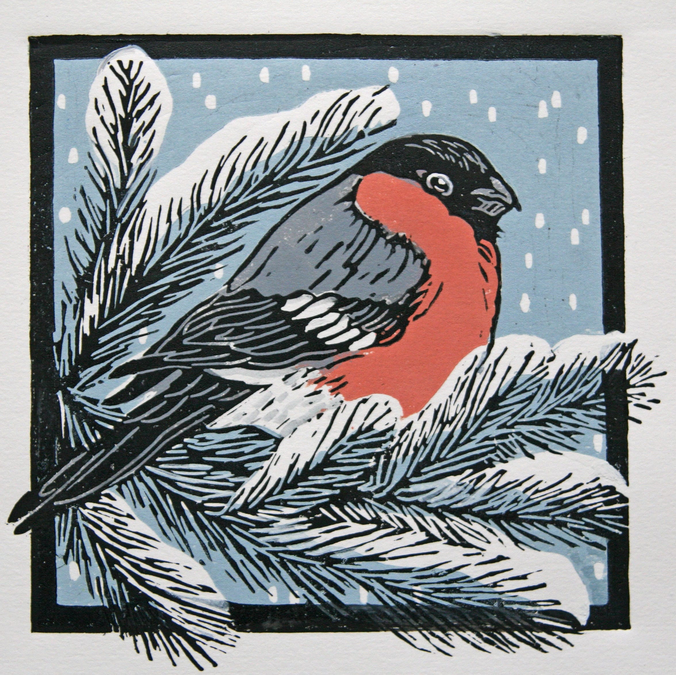 Pack of 8 Christmas Cards, 2 Linocut Bird Designs Featuring a Robin and ...