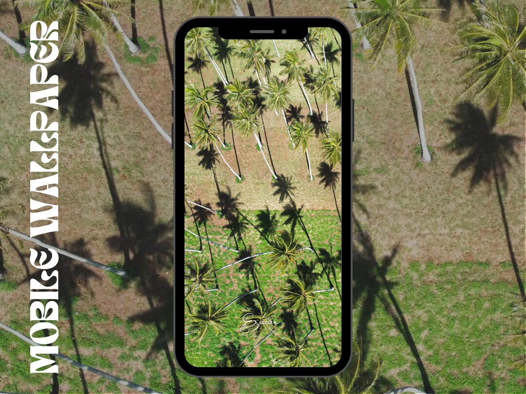 Palm Trees Phone Wallpaper From Hawaii for Beach Ocean - Etsy