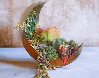 Hanging Moon Planter for Moon Room Decor - Great for Succulents, Air ...