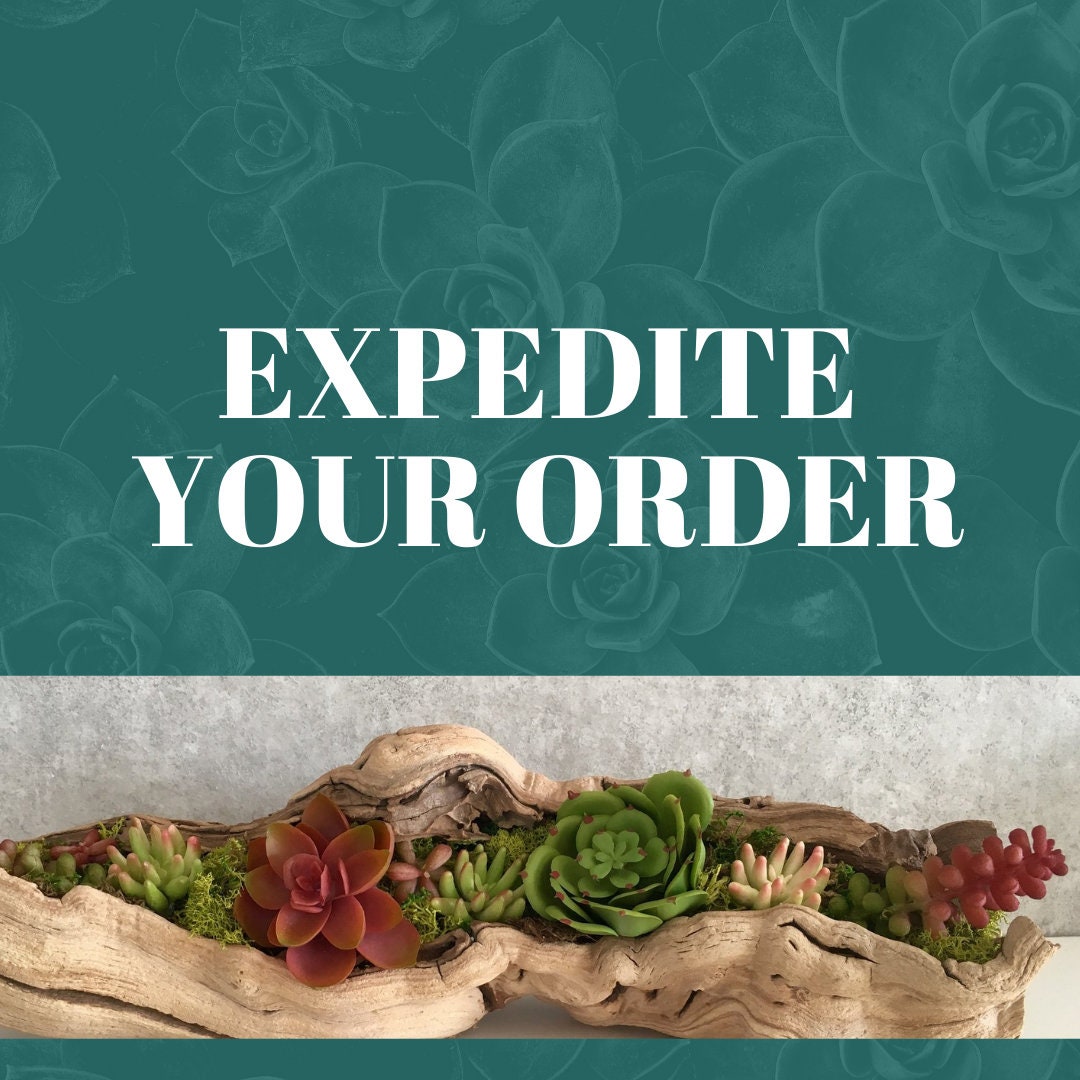 Expedite Your Order - Etsy