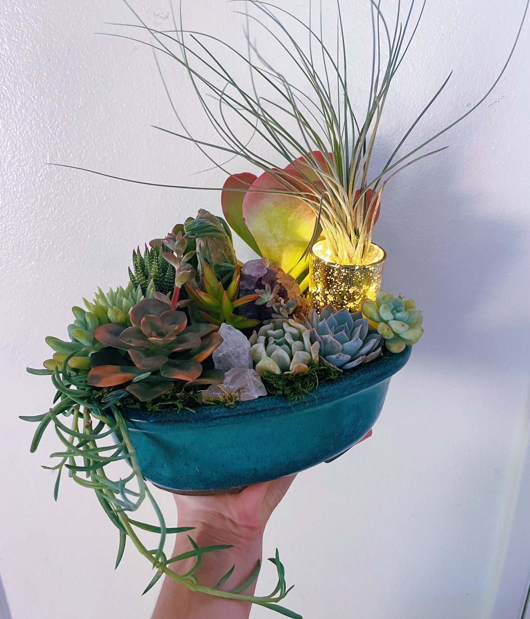 Magical Crystal Arrangement With Live Succulents and Fairy Lights ...