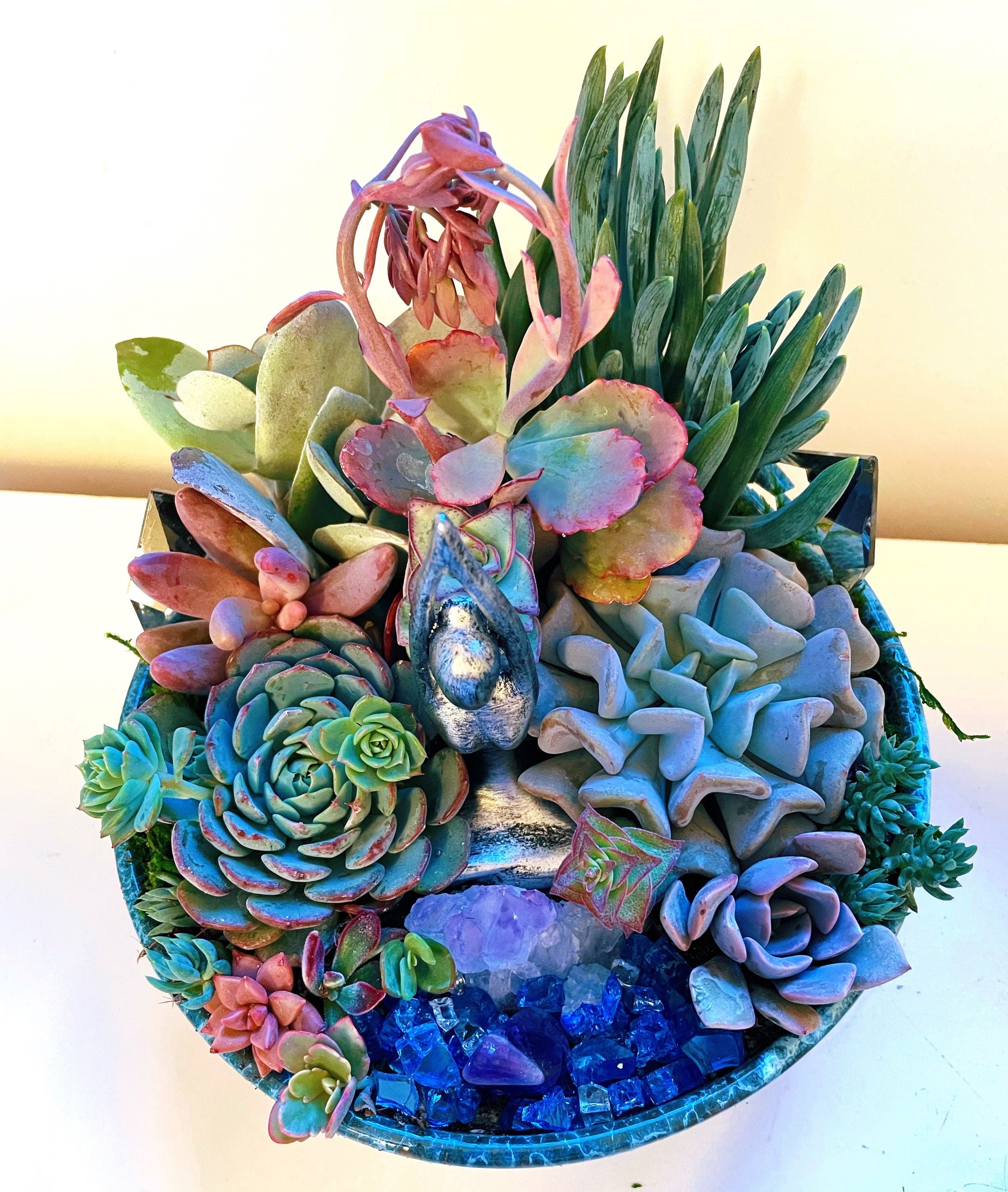 Zen Succulent Arrangement in Ceramic Bowl With Bamboo Tray – Dark Blue ...