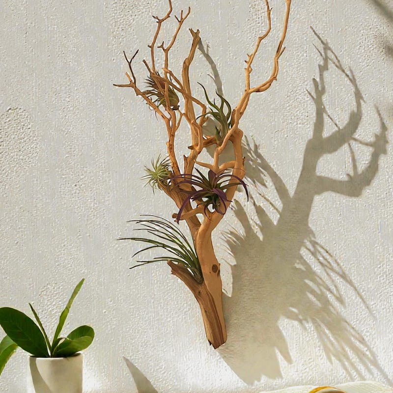 Air Plant Holder Wall Art - Etsy