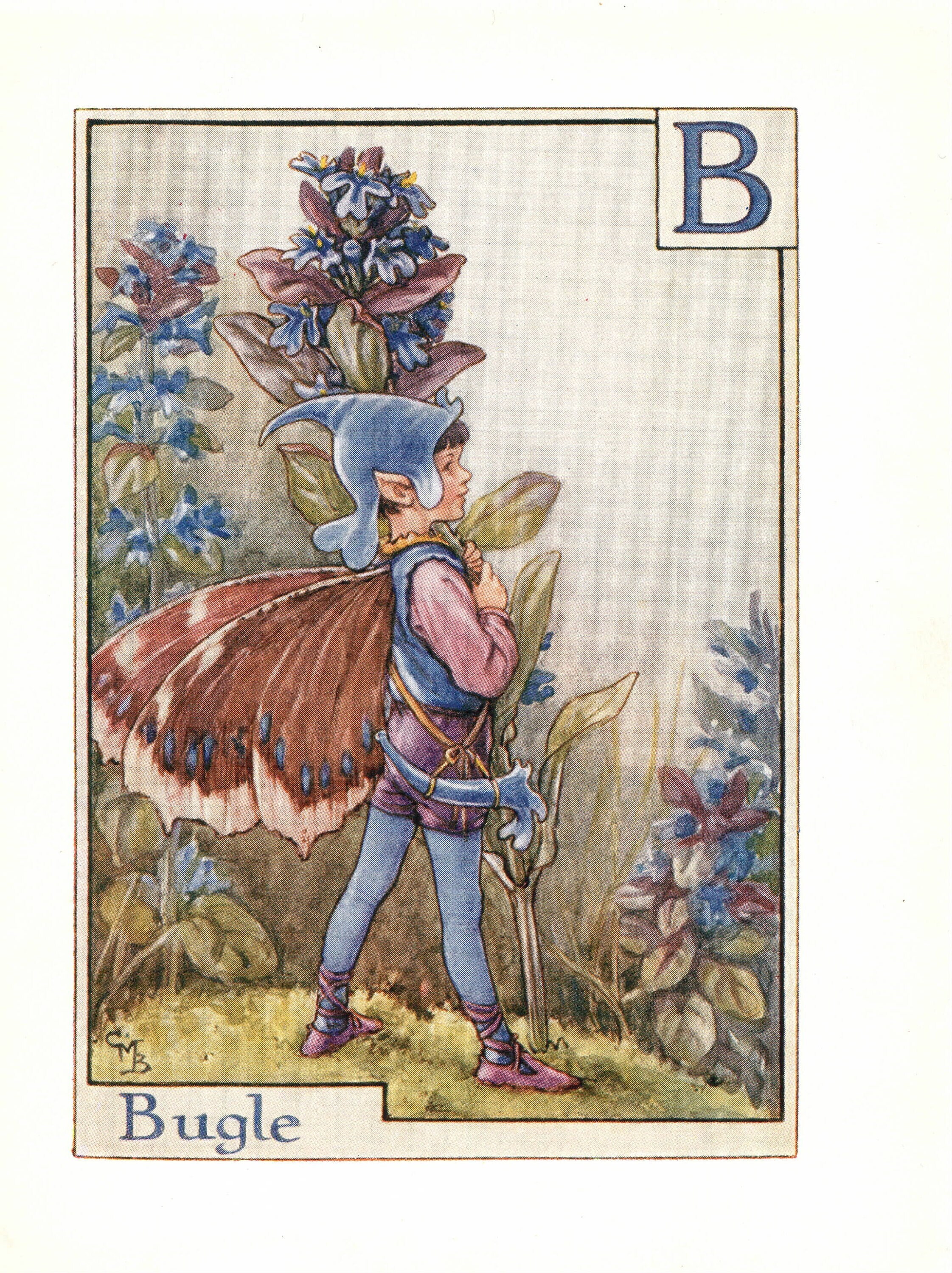A Flower Fairy Alphabet: the Letter B is for Bugle Fairy Vintage Print ...