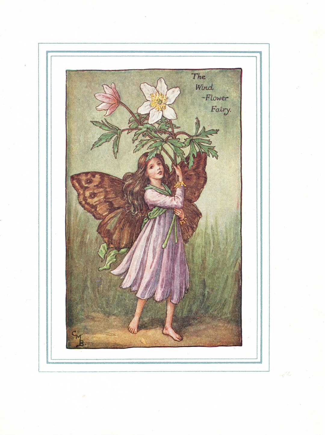 Flower Fairies: the WIND-FLOWER Fairy Vintage Print C1930 by Cicely ...