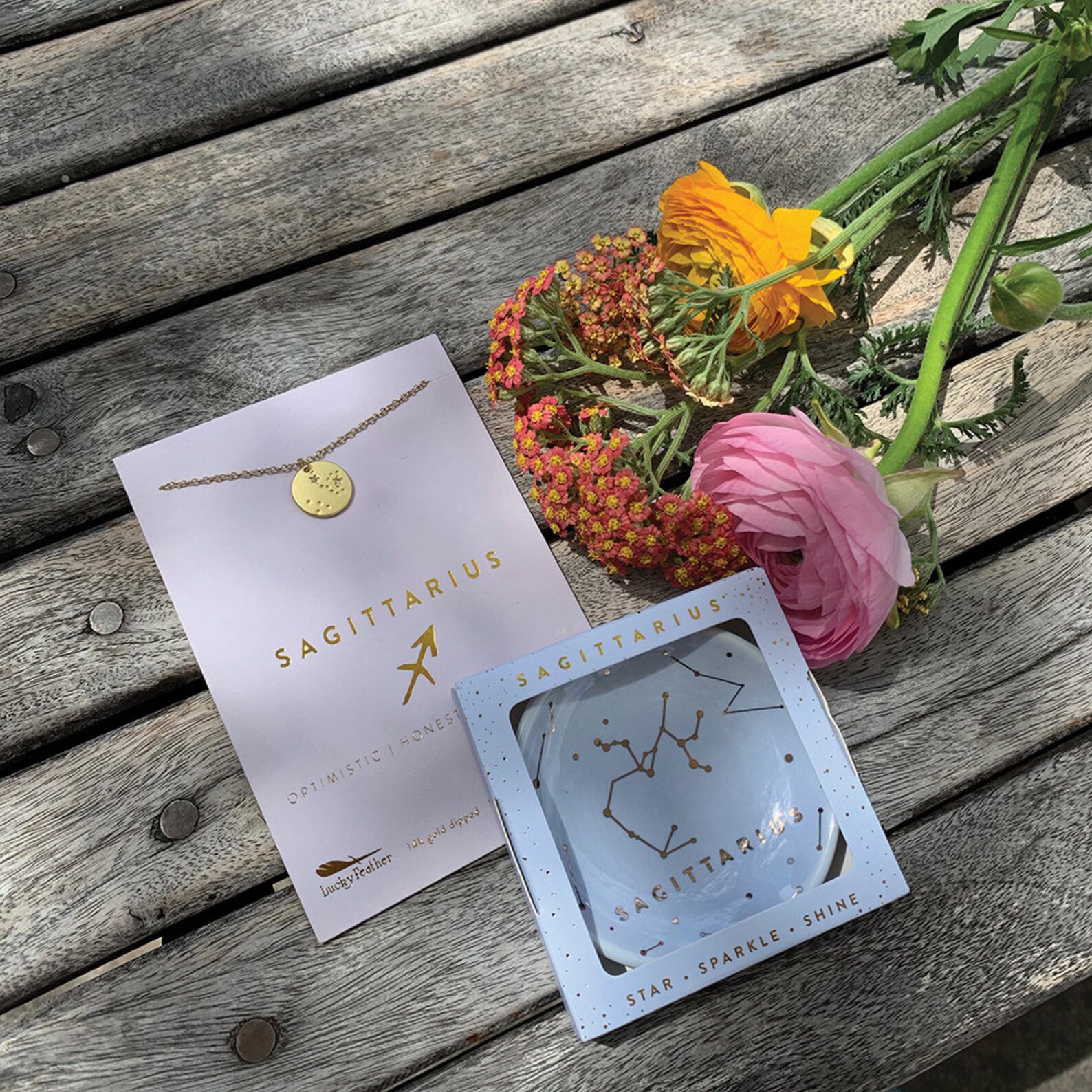 Lucky Feather Zodiac Sign Constellation Dish Ceramic Jewelry | Etsy