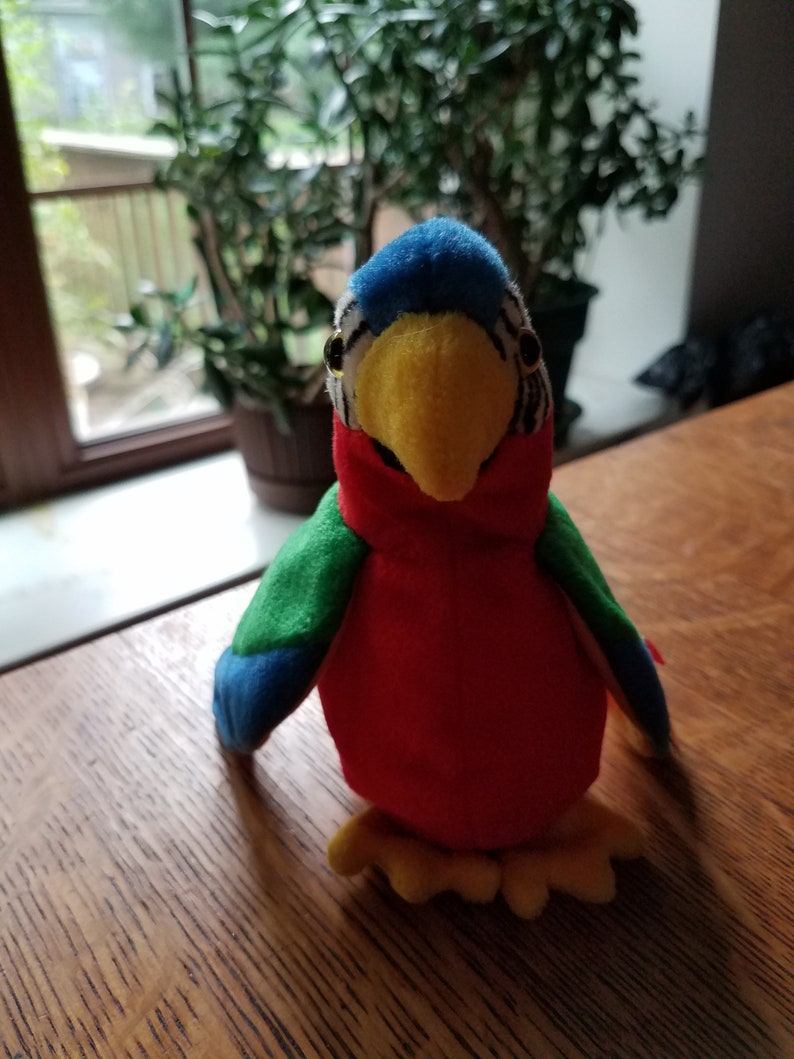 Jabber the Parrot 1998 Ty Beanie Baby - Etsy