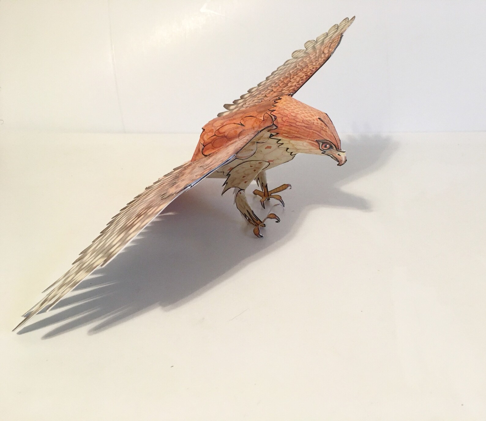 Hawk, Papercraft 3d Bird - Etsy