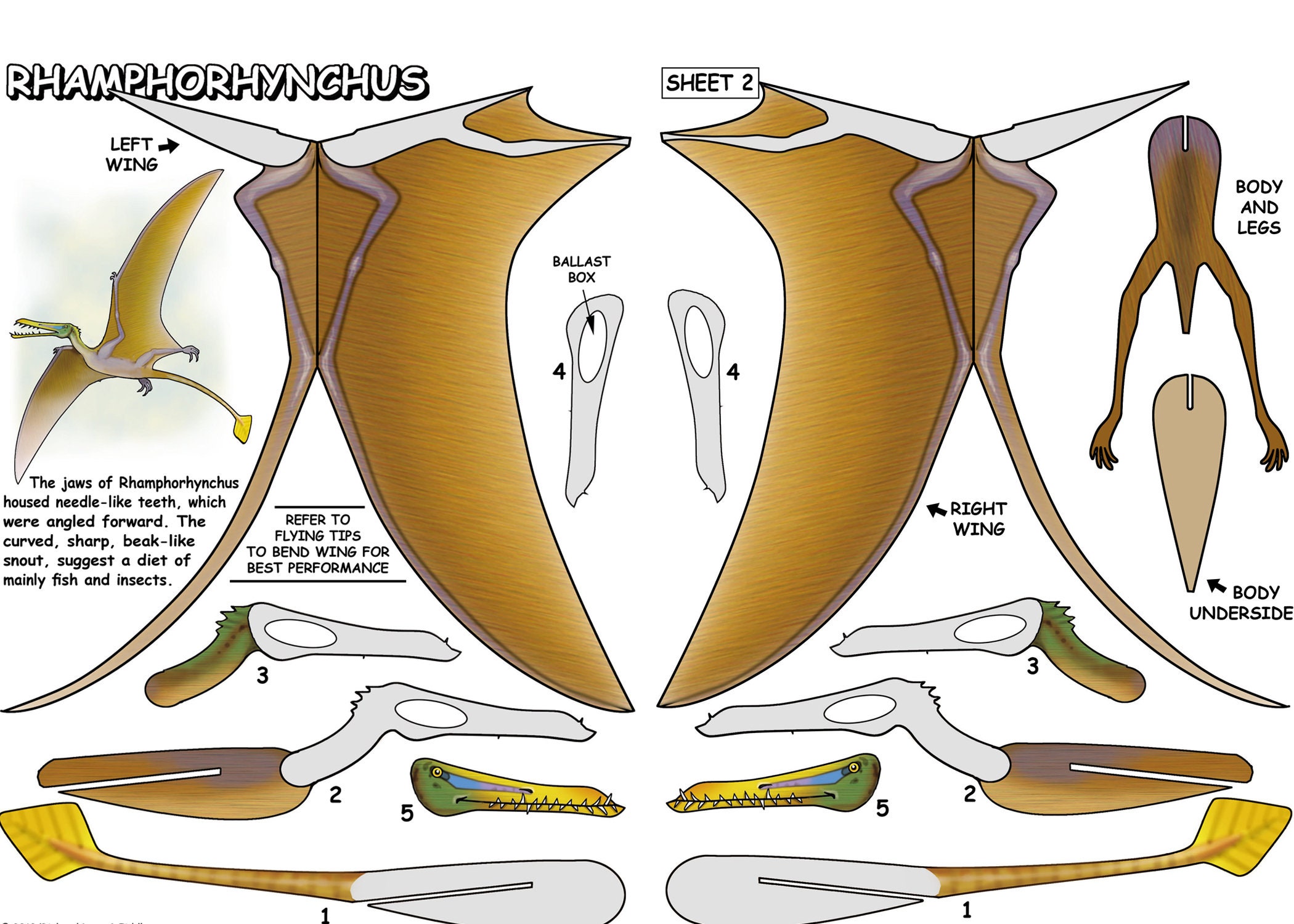 Rhamphorhynchus Pathfinder