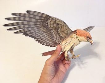 Hawk Papercraft 3d Bird - Etsy