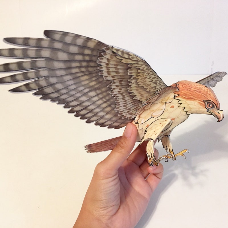 3d Paper Birds - Etsy