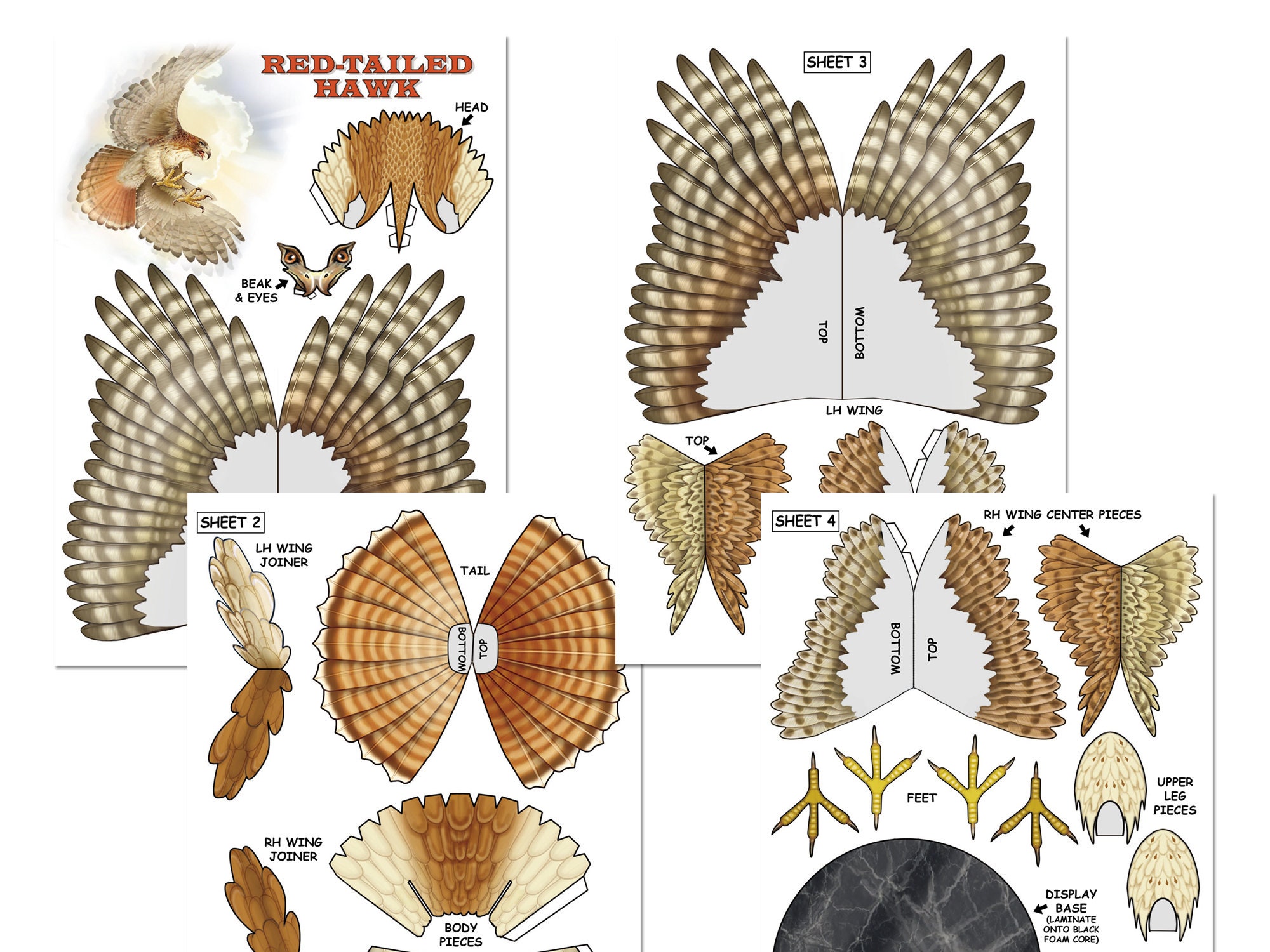 Hawk, Papercraft 3d Bird - Etsy