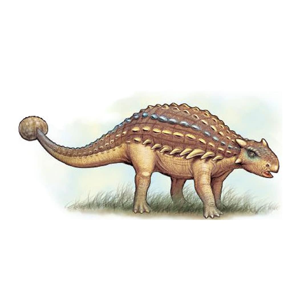 Dinosaur Model, 3d Paper Model, Ankylosaurus - Etsy