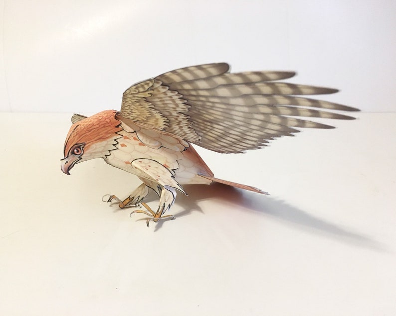 Hawk, Papercraft 3d Bird - Etsy