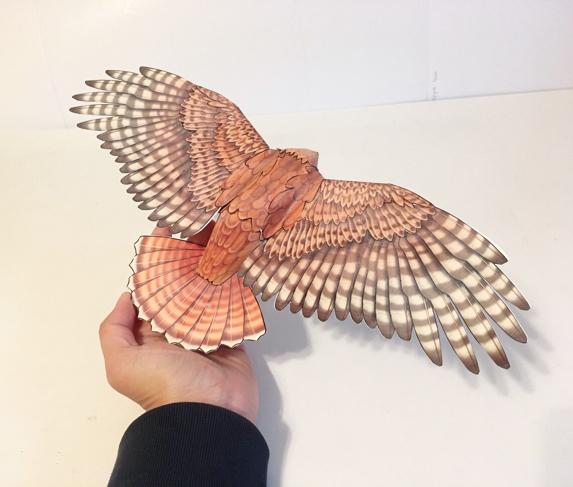 Hawk, Papercraft 3d Bird - Etsy
