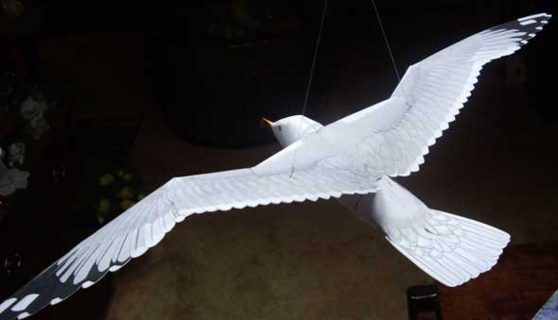 Sea Gull Model, Bird 3d Model, Paper Model Bird - Etsy