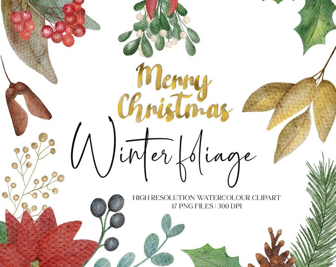 Christmas Foliage Clipart, Winter Leaves Watercolour Illustration, - Etsy