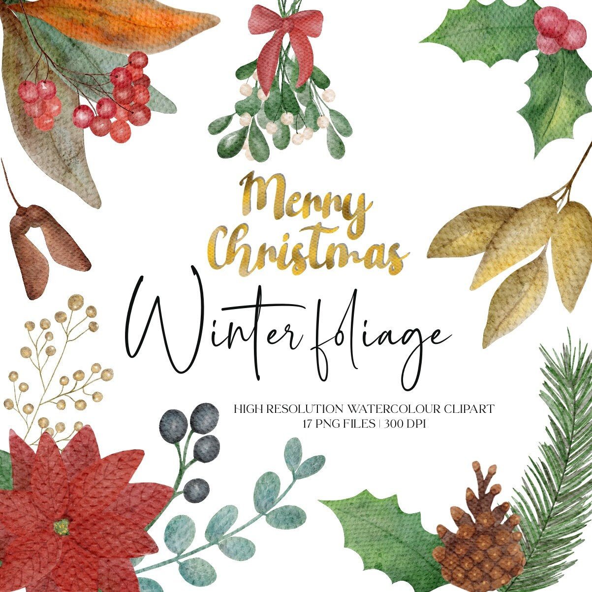 Christmas Foliage Clipart Winter Leaves Watercolour - Etsy